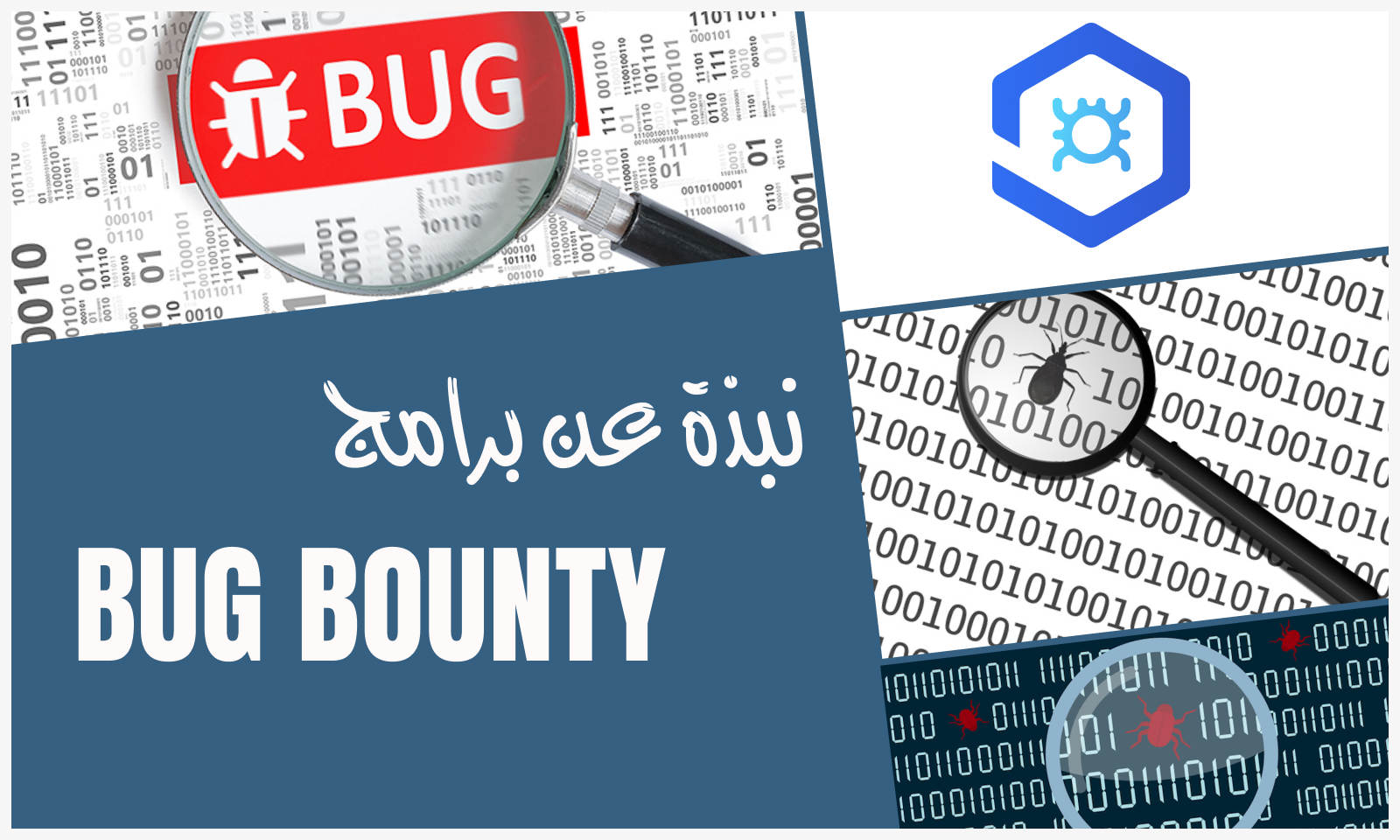 Hashim Alsharif Bug Bounty - Hashim-net